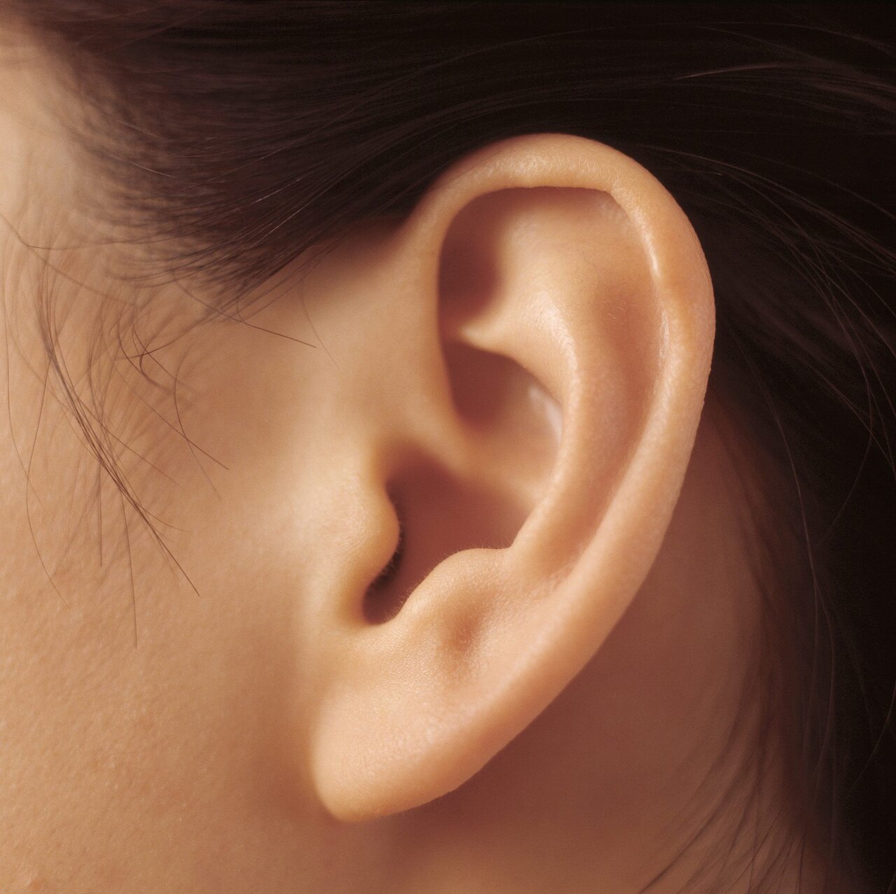 Oreilles : traitements pour soulager la douleur